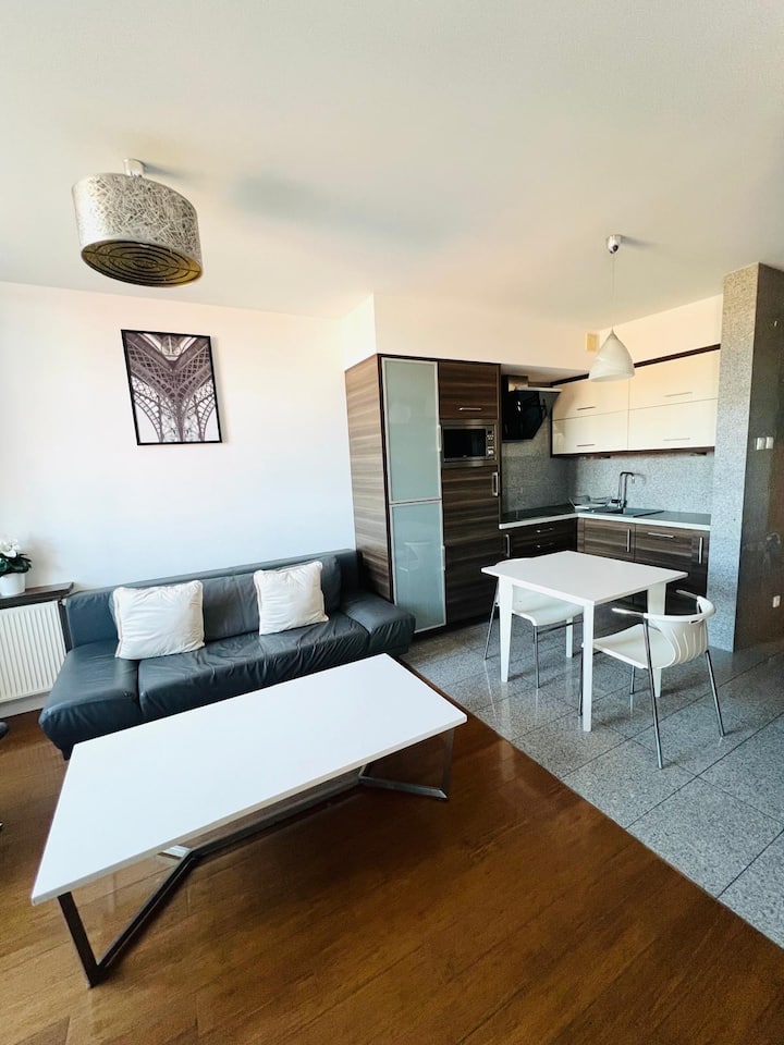 Stylish Loft In The Historic Scheibler Factory - 