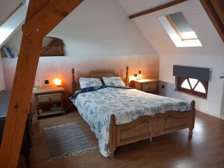 Chambre Lumineuse Dans Environnement Chaleureux - Tournai