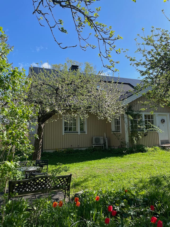 Villa Vanha Omenapuu Vehreässä Puistolassa. - Helsinki