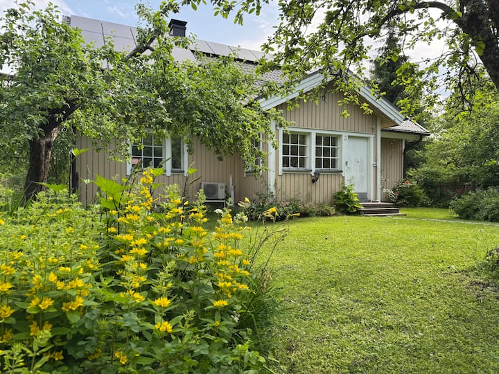 "Everything Was Top Notch, Thank You <3" - Helsinki