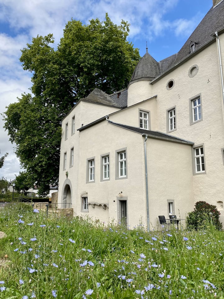 Alte Schmiede - Stilvolles Château In Der Eifel - Rheinland-Pfalz
