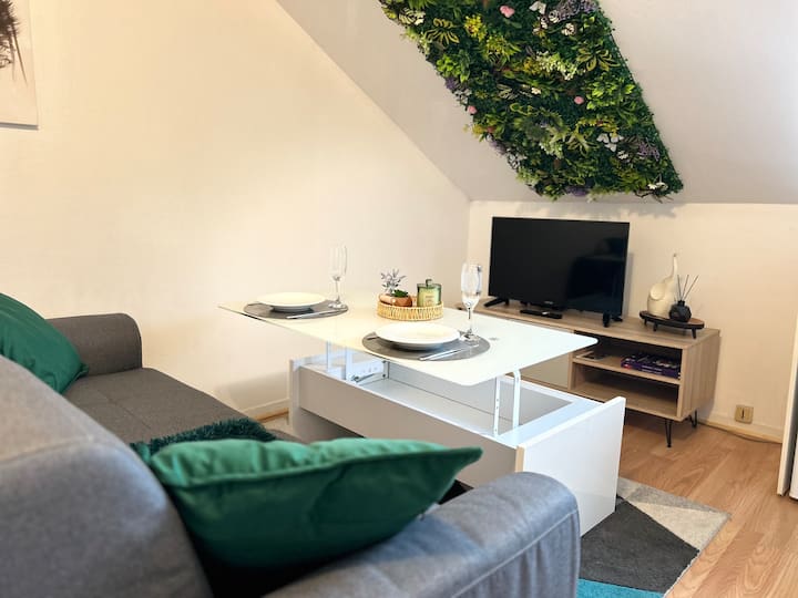 Nid Douillet Proche Centre-ville - Troyes