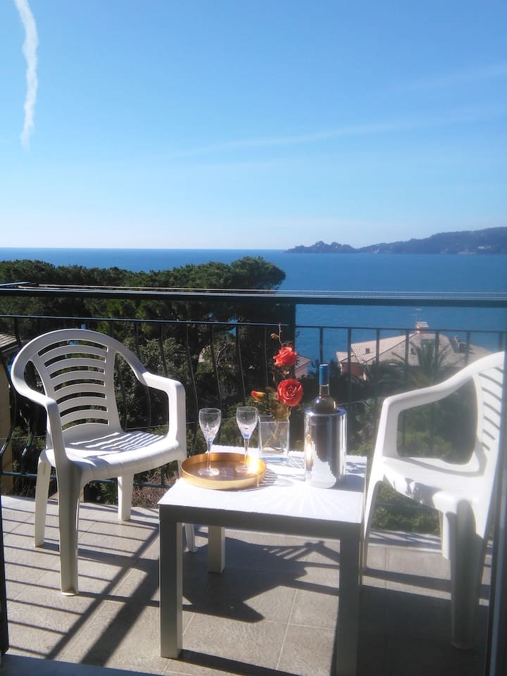 Al Mare Davanti A Portofino - 6 - Zoagli