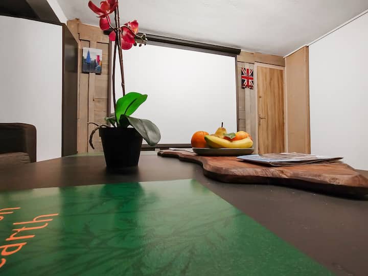 Double Studio Dijon Chu, Cinéma, Jardin & Parking - Dijon