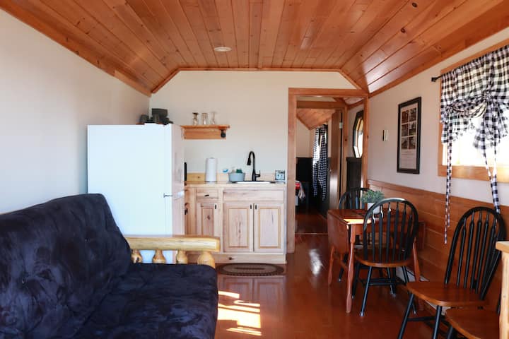 Cabin On The Lake - Black Bear - Adirondack Mountains
