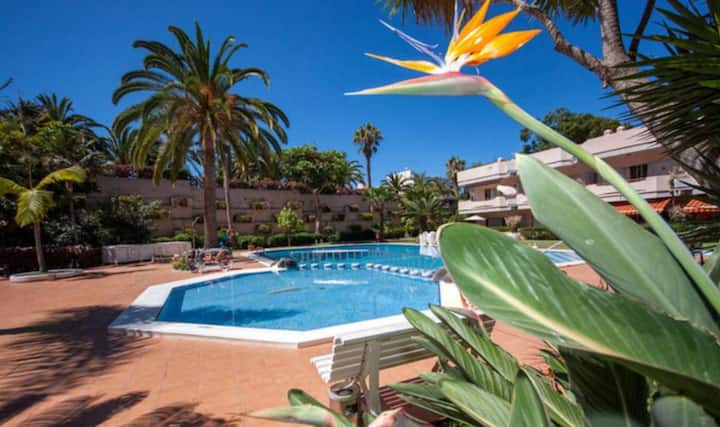 Molino Blanco 107 - Puerto de la Cruz