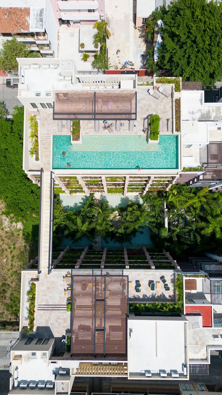 New! Beautiful Studio With Wonderful Amenities - Playa del Carmen