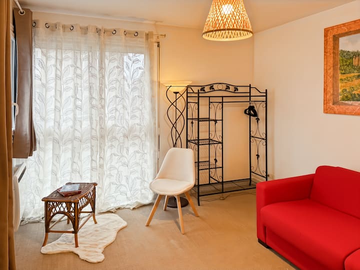 Le Petit Volcan D'aurillac - Aurillac