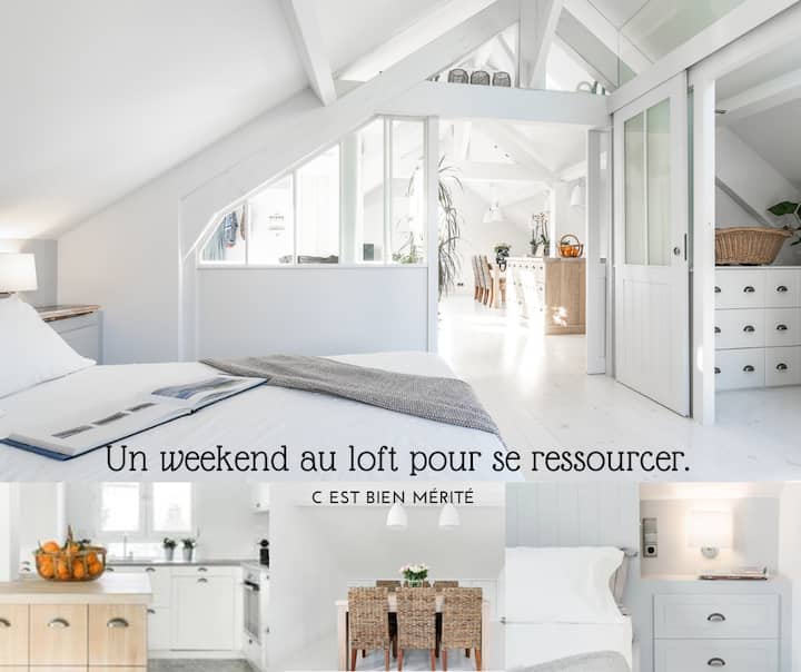 The Alpine Loft - Garden, Bikes, Free St. Parking - Annecy