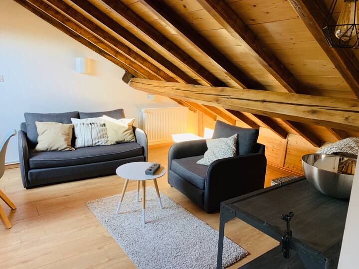 Studio Et Chambres Cosy. - Grenoble