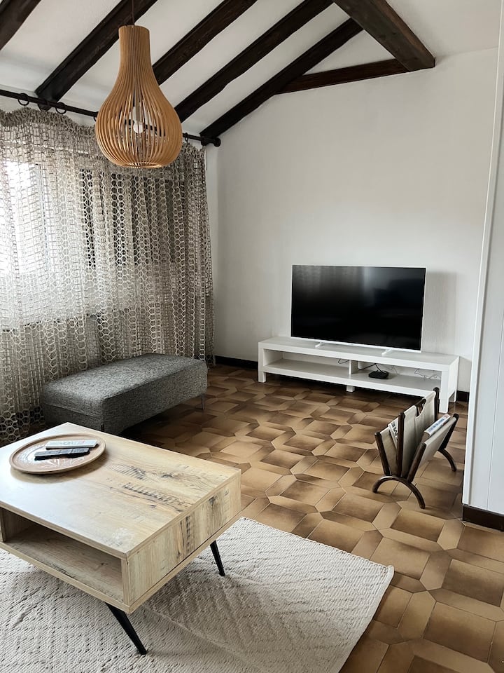 Spacieux Appartement - 100m2 - - Colmar