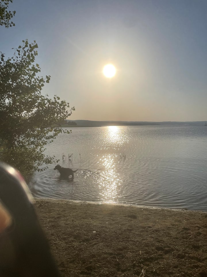 Vue Sur Lac De Naussac - Langogne