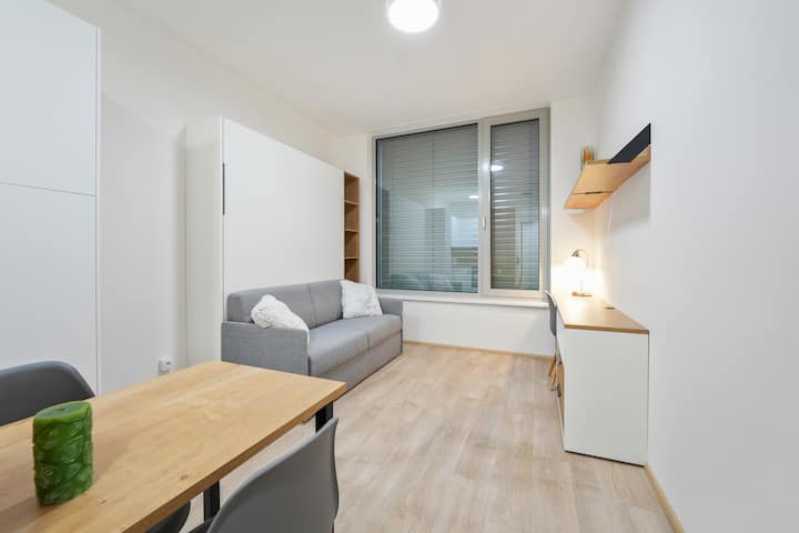 Modern Flat With Rooftop Terrace - Praga