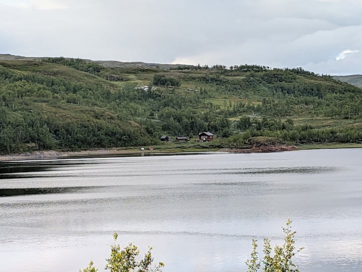 Unik Fjellhytte - Jakt, Fiske, Bær, Båt - Saltdal