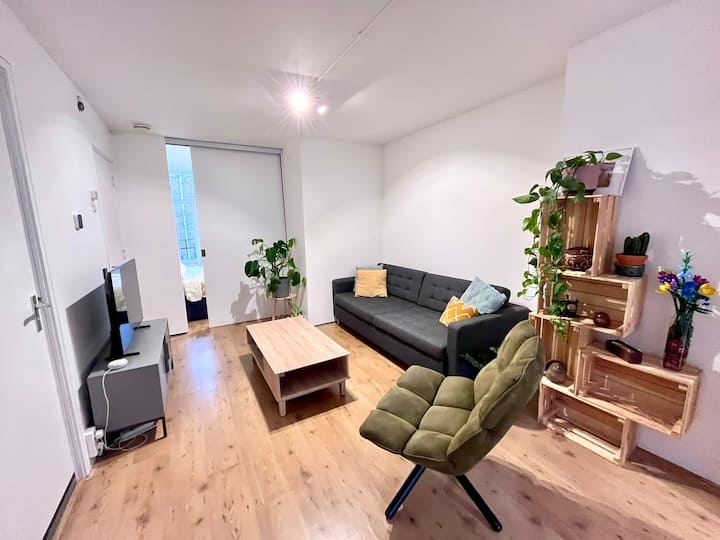 Apartment Next To Westerpark - Amsterdam
