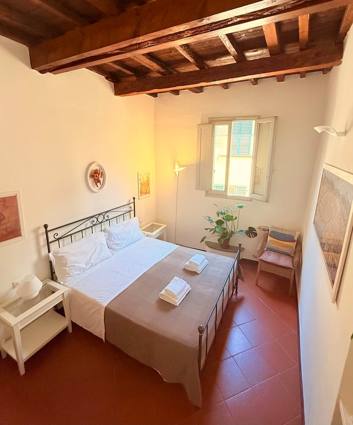 L'antica Vigna In S.croce - Florence