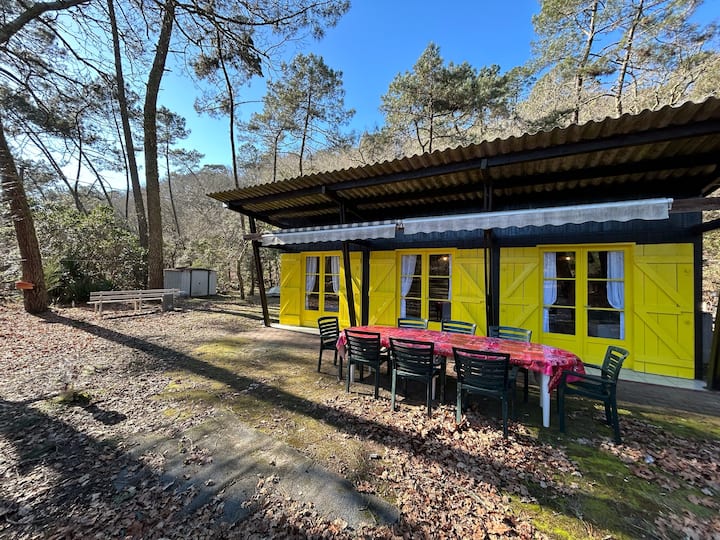 Chalet Au Cœur De La Forêt à 5min De La Plage Pyla - Arcachon