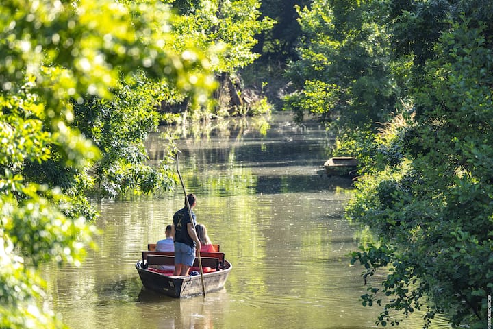 Tiny House Au Cœur Du Marais Poitevin Venise Verte - Coulon