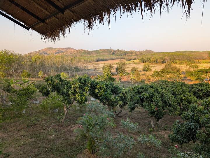 Rural Paradise Close To Loei - Wang Saphung
