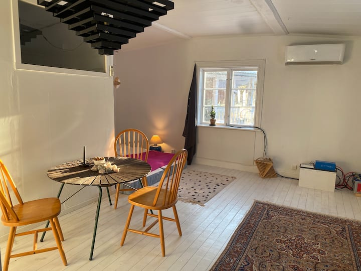 Mysigt Tiny House I Historisk By - Umeå
