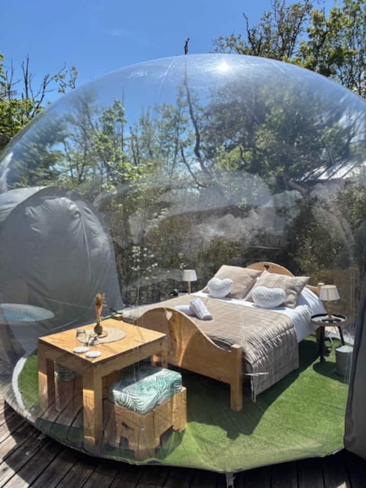 Bulle Transparente - Confort