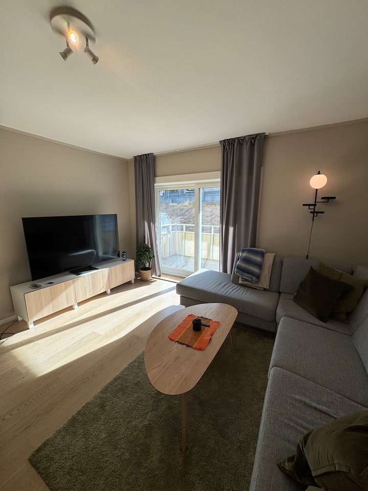 Moderne Leilighet Sentralt I Trondheim - Trondheim