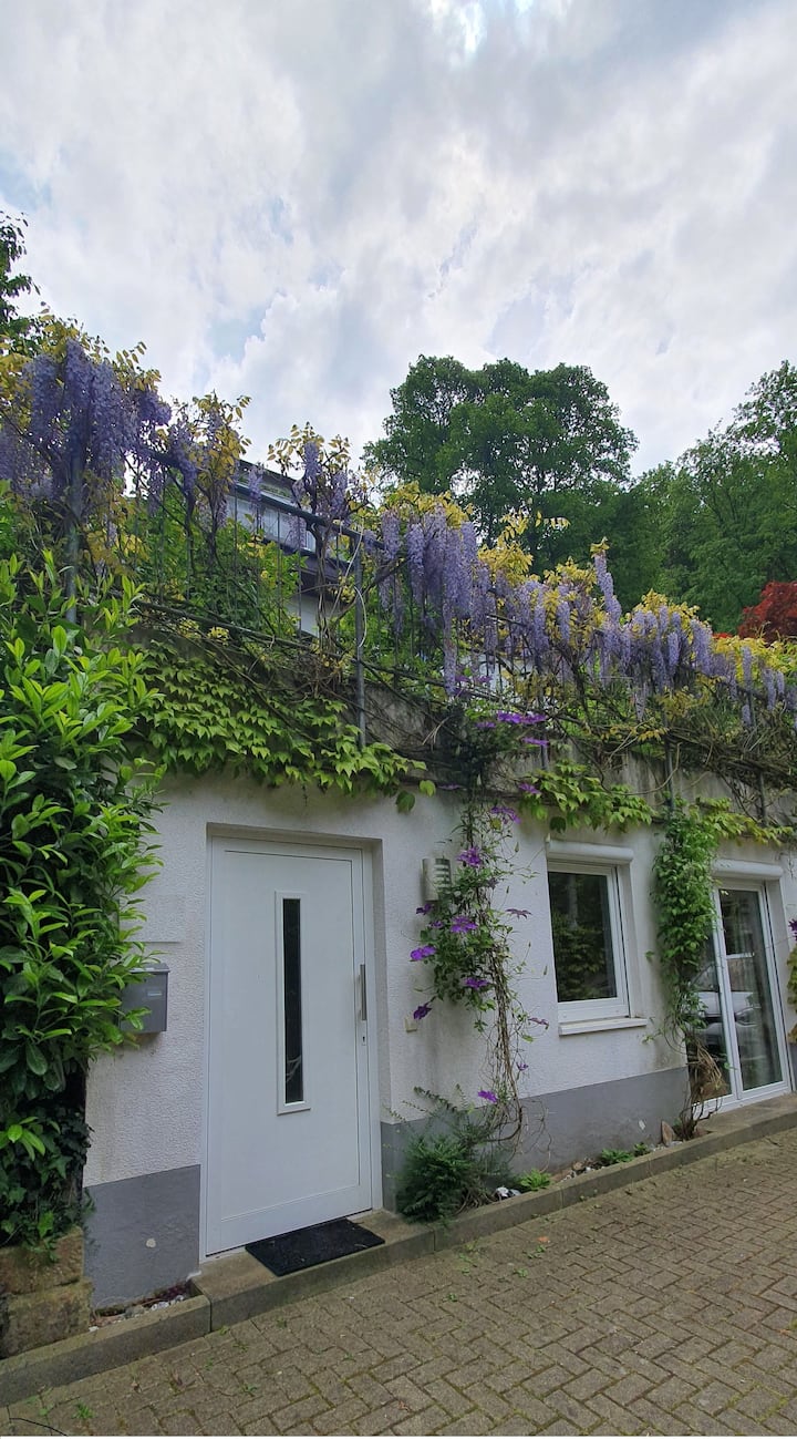 Apartment, 60sqm, Close To City/forest, Wallbox - Freiburg im Breisgau