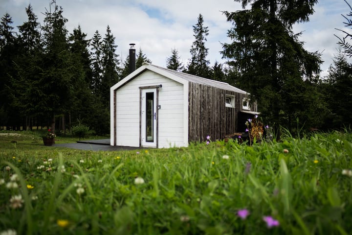 Meža Namiņš Upeskrasti - Latvia