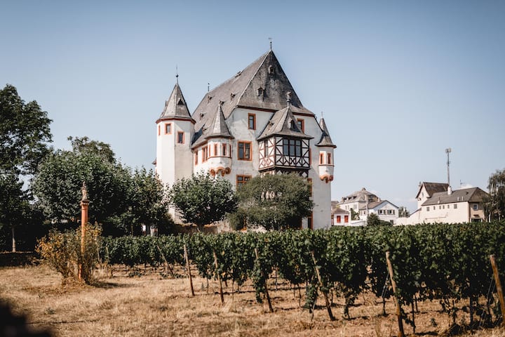 Schloss | Familien-suite | Zentrale Lage Rheingau - Eltville