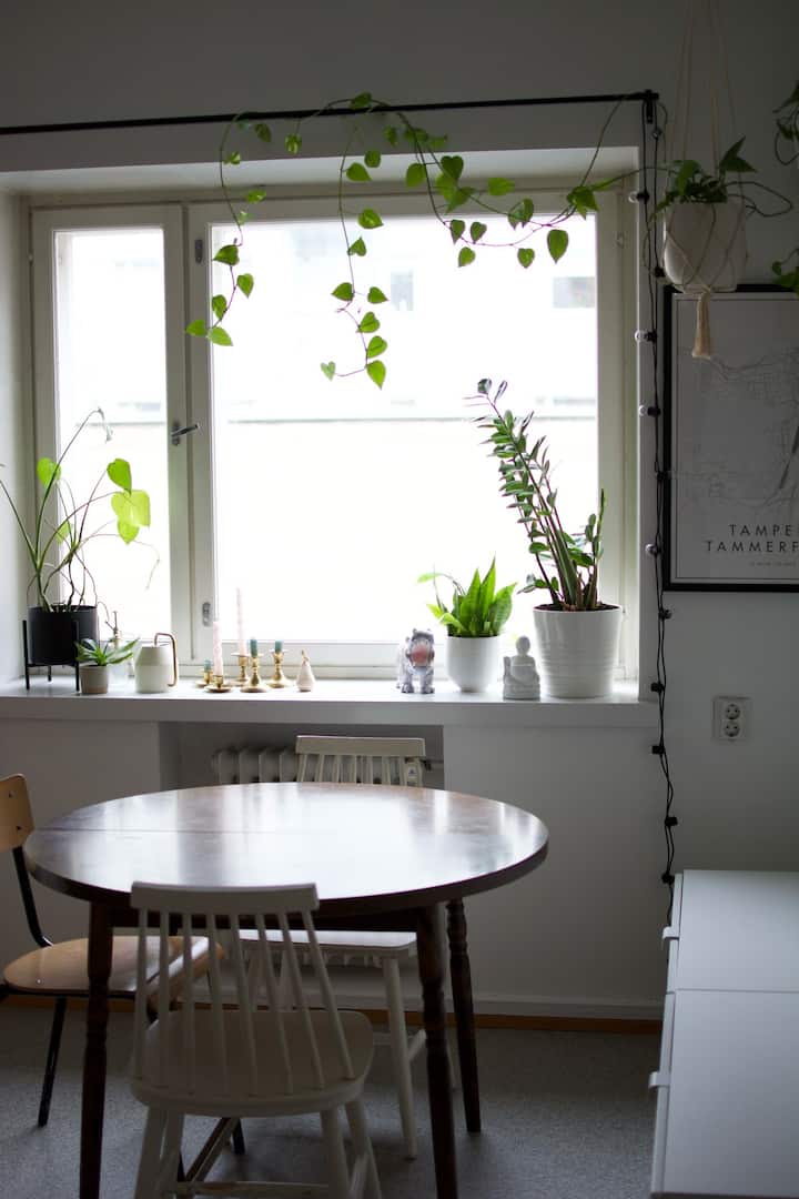 Kodikas Yksiö Keskustassa - Tampere