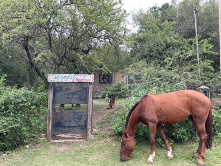 La Lomita - Cordoba