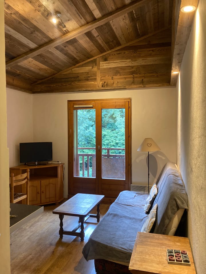 Appartement 22m Idéalement Situé - Saint-Gervais-les-Bains