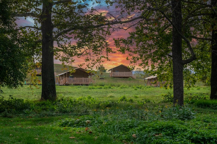 *New* Glamping Tent On The Shenandoah River! - Luray, VA