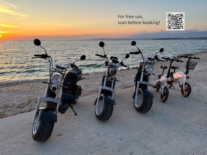 Apartment Franka - Vir - Vir