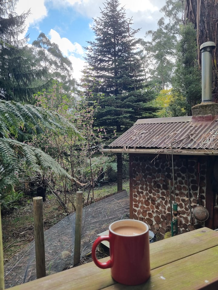 Cabin In The Woods - Currawong Rd