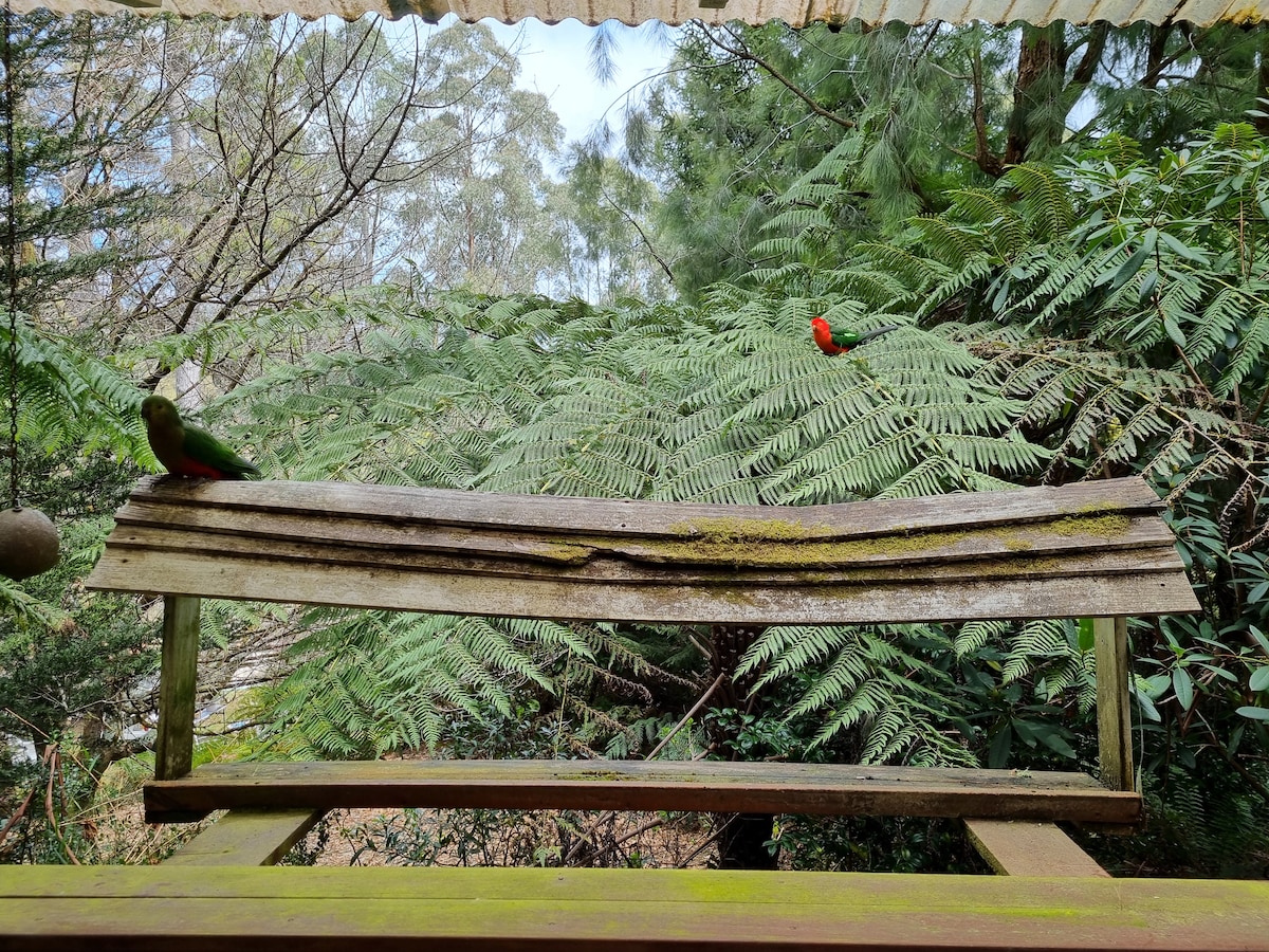 Cabane dans les bois - Cabanes à louer à Tanjil Bren, Victoria ...