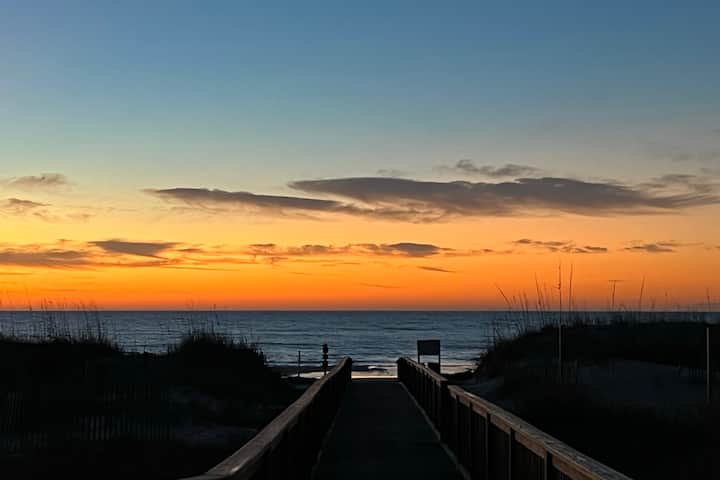 Turtles & Dolphins & Crabs, Oh My! - Hilton Head Island, SC