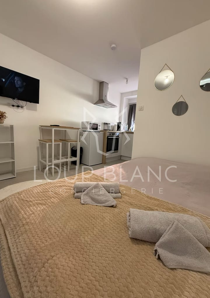 Studio Proche Gare Et Centre Ville - Le Comte - Belfort