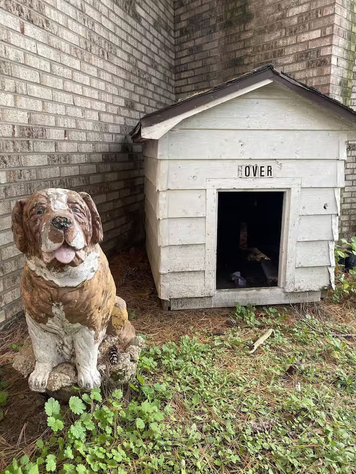 Live The Steven Point Experience - Stevens Point, WI