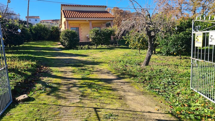 Los Naranjos - Marvão