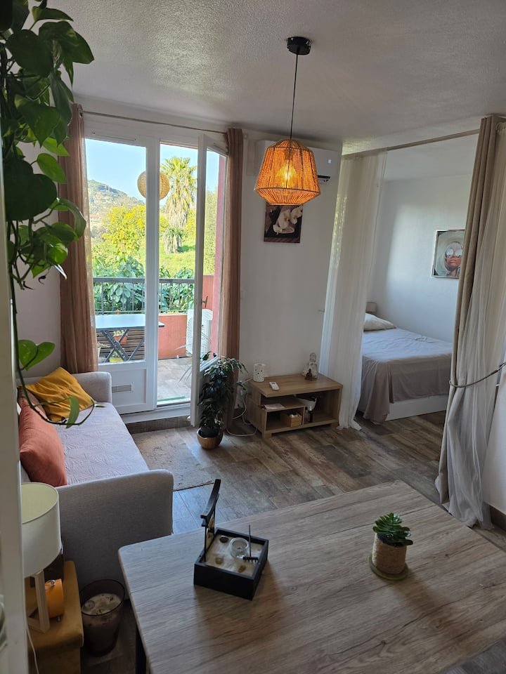 Studio Charmant Avec Coin Nuit Et Piscine - Vallauris