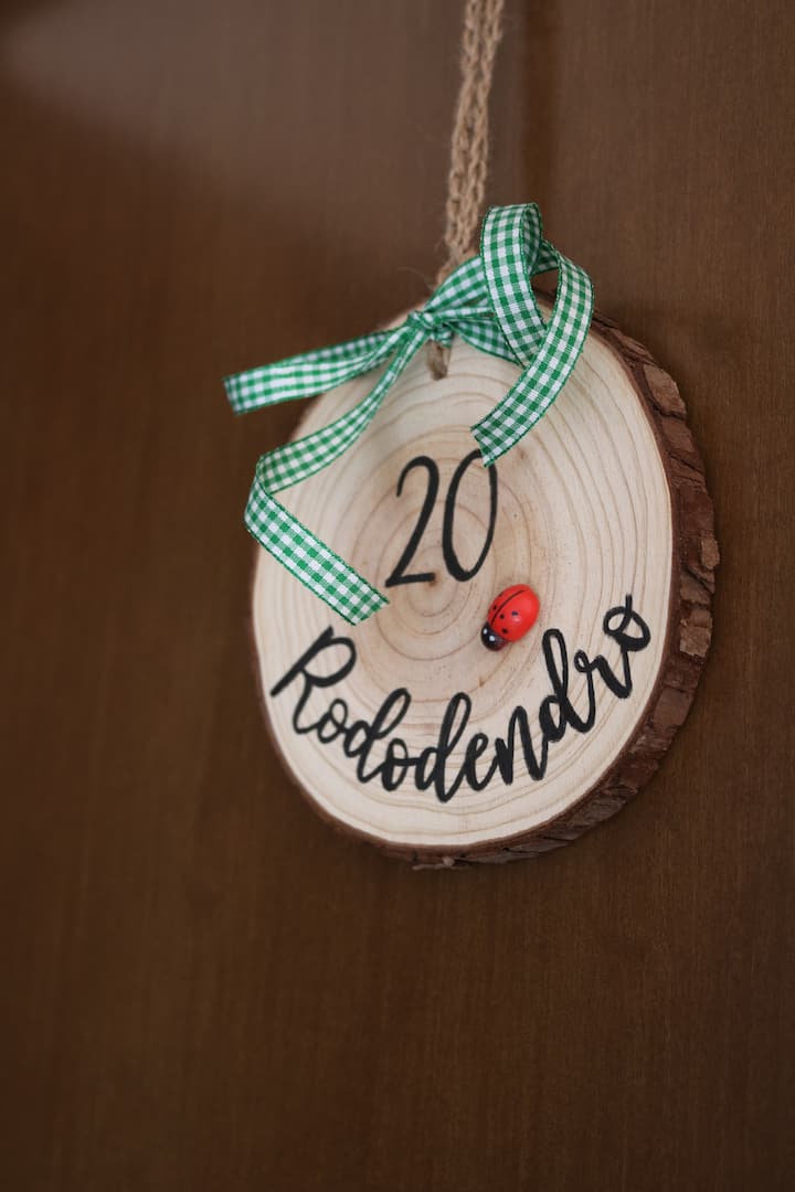 Appartamento Rododendro Con Stupenda Vista - Levico Terme