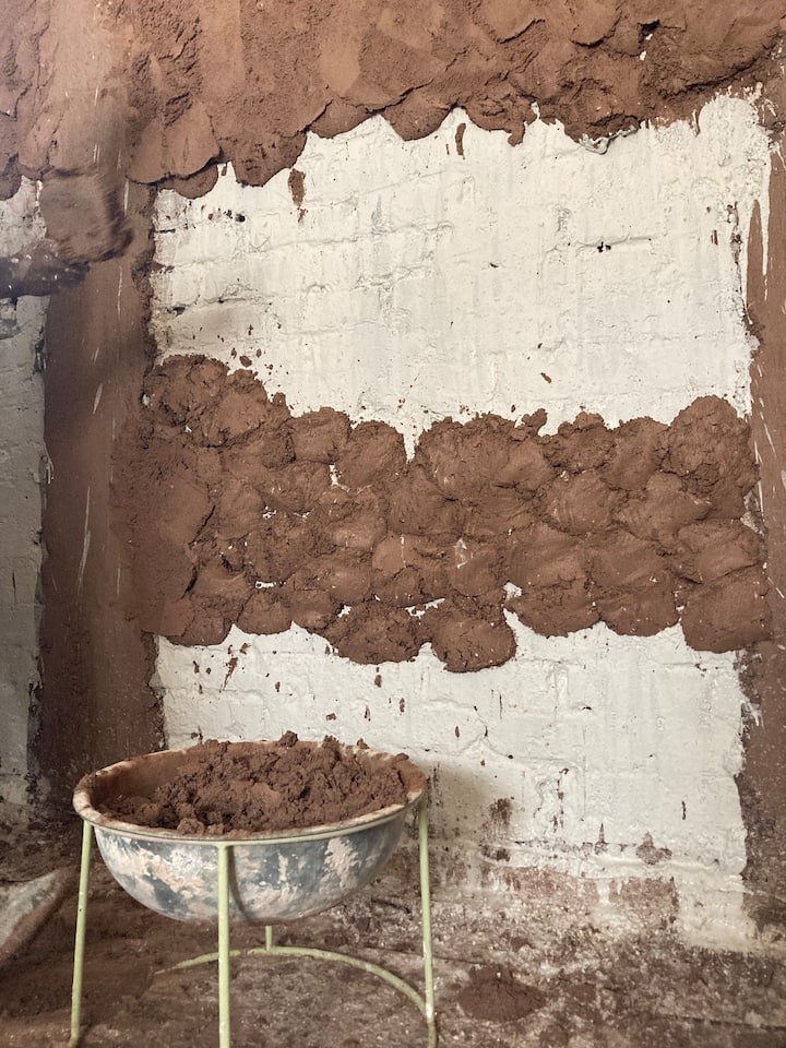 Earthy Lime Plaster Home - Chandigarh
