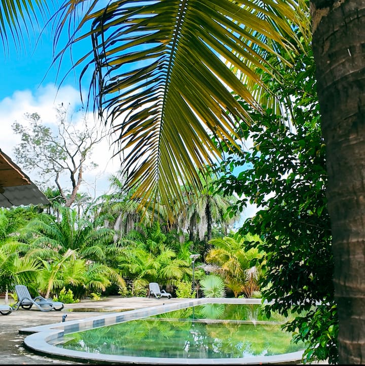 Camping Casamance - Ziguinchor - Sénégal