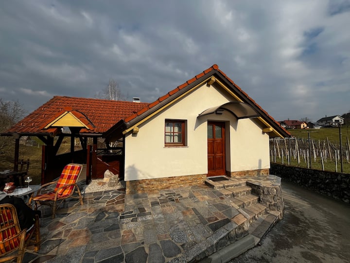 Apartma Zidanca Bele - Dolenjske Toplice