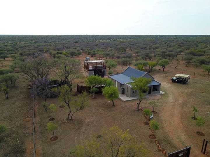 Die Skoen - Hammanskraal