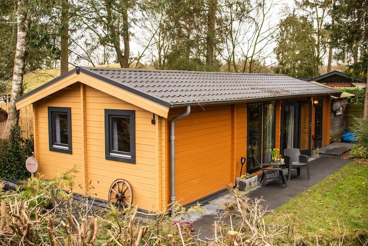 Gezellig 5p Chalet Op Veluwe Naast Sauna Drome - Netherlands