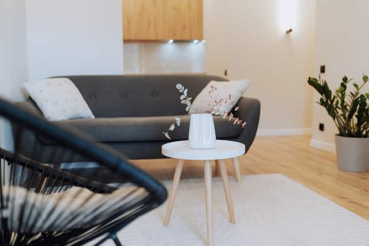 Business-ready ~New~ 1br - Main Street Living - Chișinău