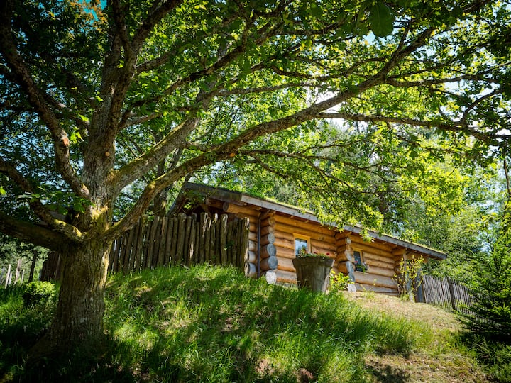 Le Petit Chalet "Au Nom Des Anges" En Alsace - Forêt-Noire