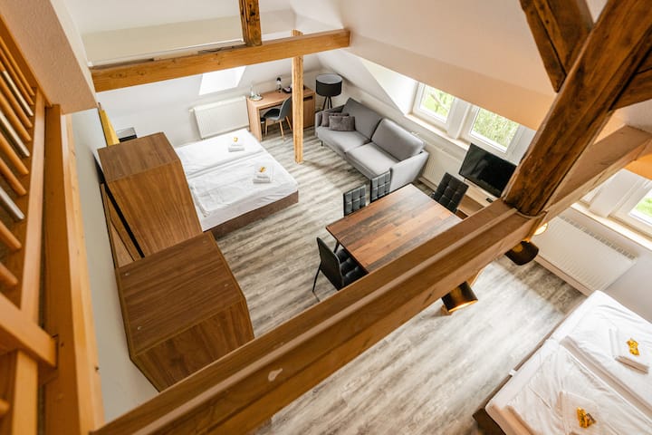 Elbapartment 5 In Pirna "Sächsische Schweiz" - Pirna